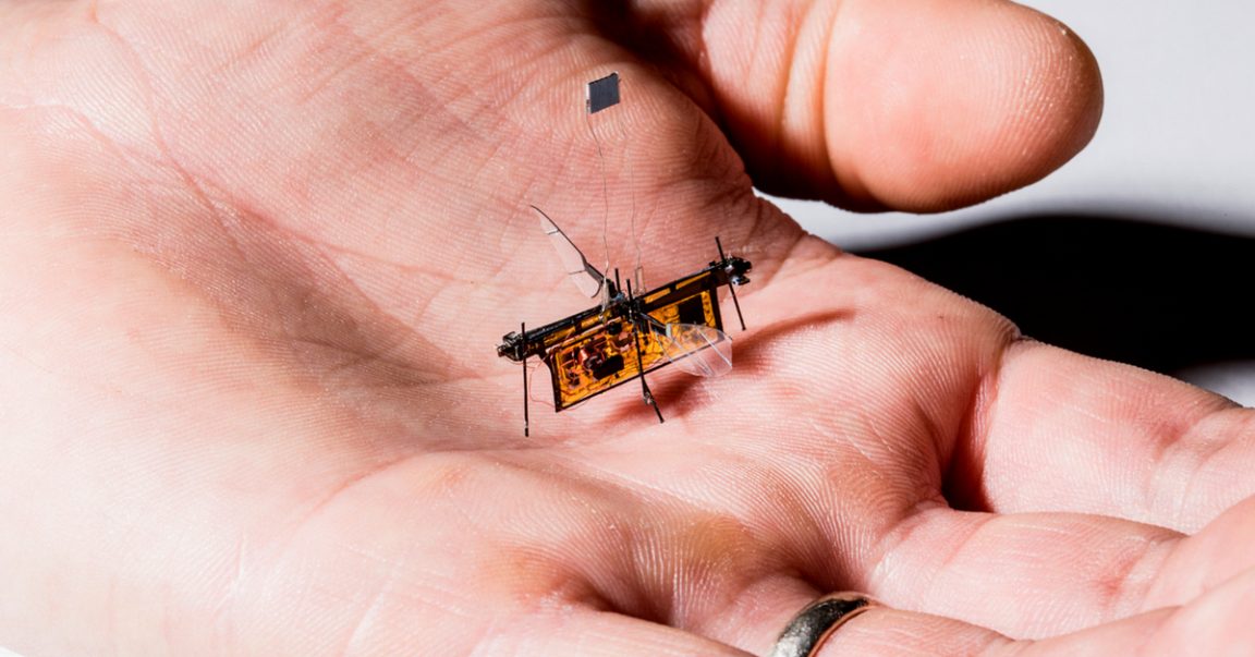 3 Indians Play Key Role in World’s 1st Wireless Insect-Sized Drone!