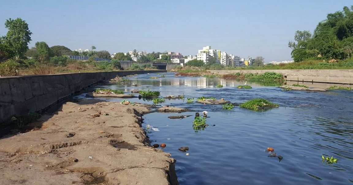 Pune -kars clean 'adopted' river, create compost from aquatic weed