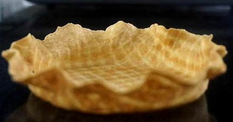 Tamil Nadu researchers create edible plates from Jackfruit waste