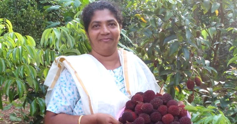 350 fruits & a Mother's legacy: The touching story of a Kerala farm ...