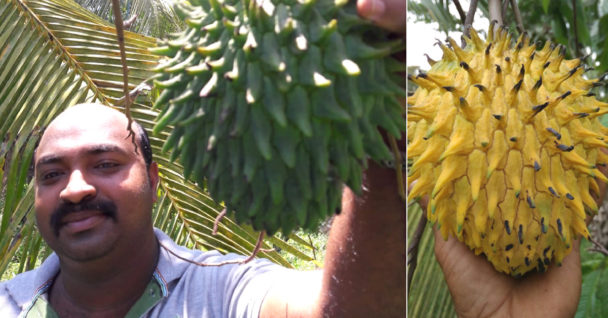 350 fruits & a Mother's legacy: The touching story of a Kerala farm ...