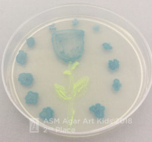 In Pics: Check Out This Award-Winning Artwork Made Entirely From Bacteria!