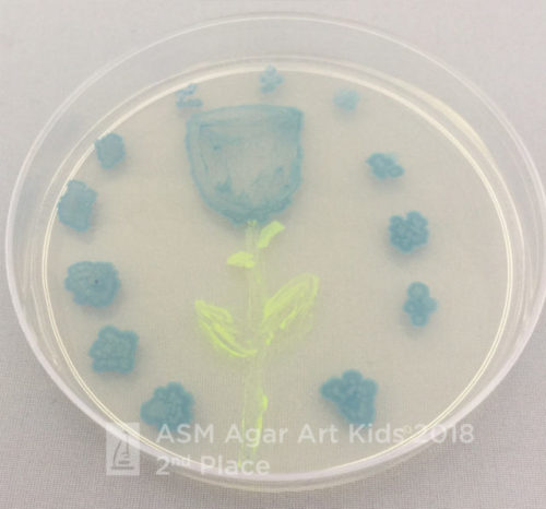 In Pics: Check Out This Award-Winning Artwork Made Entirely From Bacteria!