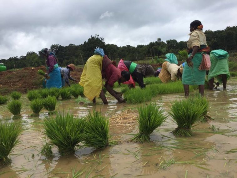 Logo, Certificate or Awareness: What Do Organic Consumers Need Most?