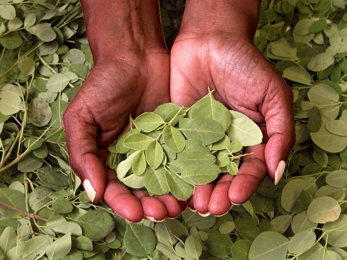 Why & How to Grow Your Own 'Healing' Garden at Home! - The Better India