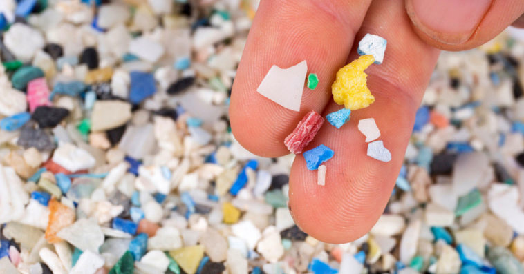 IIT B Finds Microplastic in Table Salt: How Your Actions Can Reduce ...