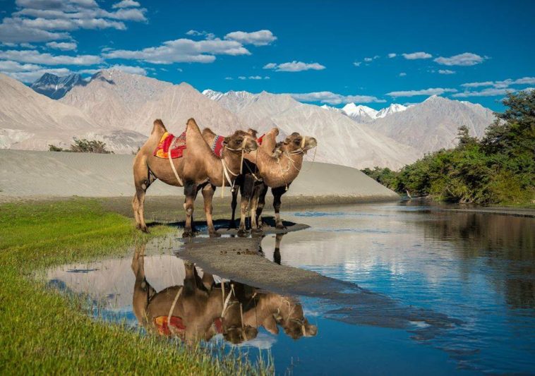 Fascinating Story of the Unique 'Central Asians' Who Were Left Behind ...