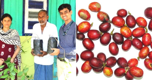 Indian Scientists Create Natural & Nutritious Food Dye From Wild Blood ...