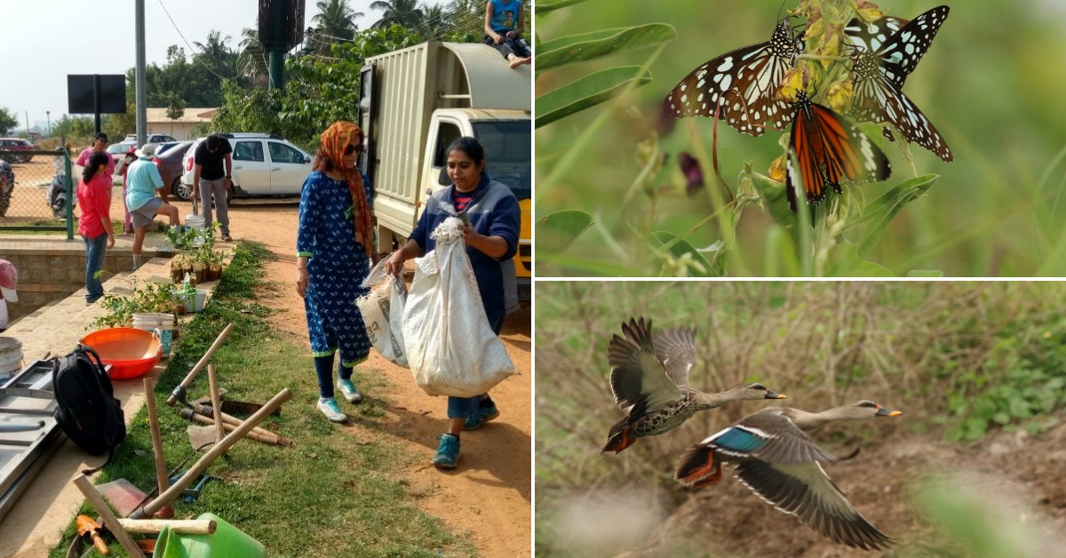 Citizens Turn Bengaluru's Jakkur Lake into Eco-Zone With These Herbs ...