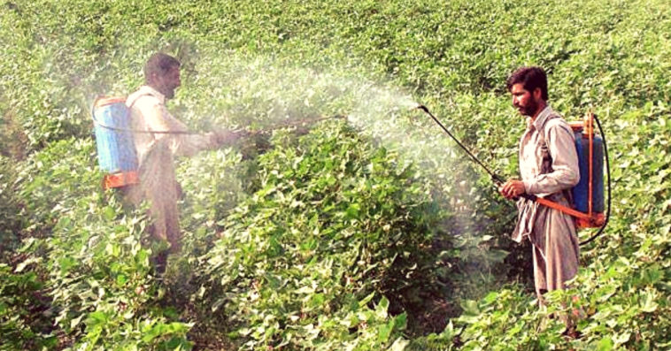 Farmers First: How Maharashtra Cut Pesticide Poisoning Deaths From 62 ...