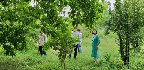 A Farm That Will Live Forever: Meet the Couple Teaching This Special ...