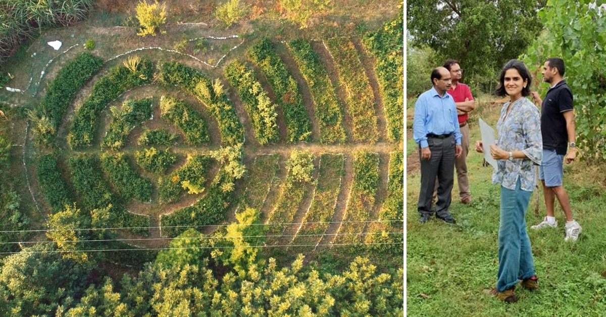 A Farm That Will Live Forever: Meet the Couple Teaching This Special ...