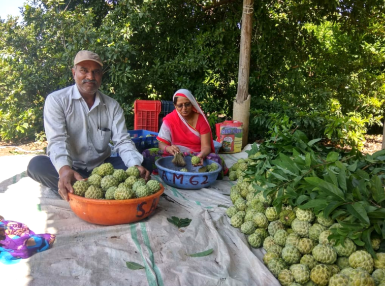 Earth Heroes, 2018: Meet the Path-Breaking Indians Saving Ou Planet ...