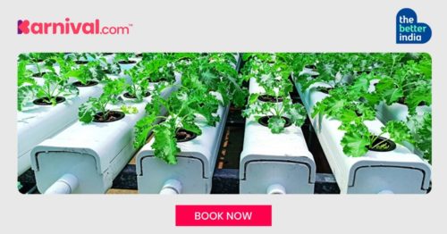 Kerala Engineer Duo: Smart Gardens That Let You Grow Veggies At Home