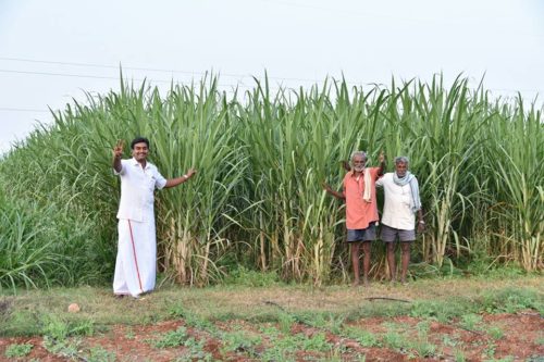 Karnataka : MBA turned Organic Farmer Earns Rs 7-10 Lakh Yearly!