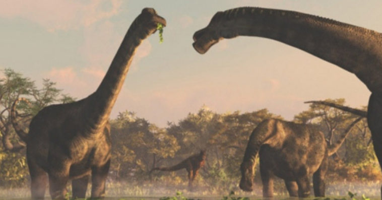 Discovery of dinosaurs: Fascinating story of India's prehistoric ...