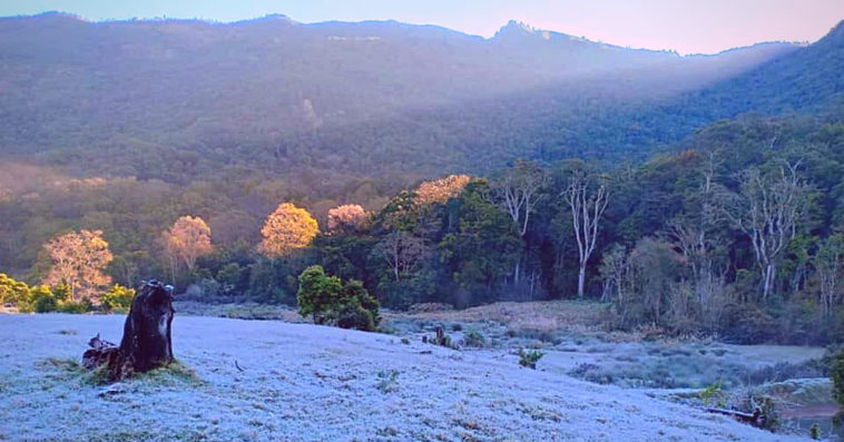 Kerala's Munnar Turns Into Winter Wonderland, Check Out 10 Photos