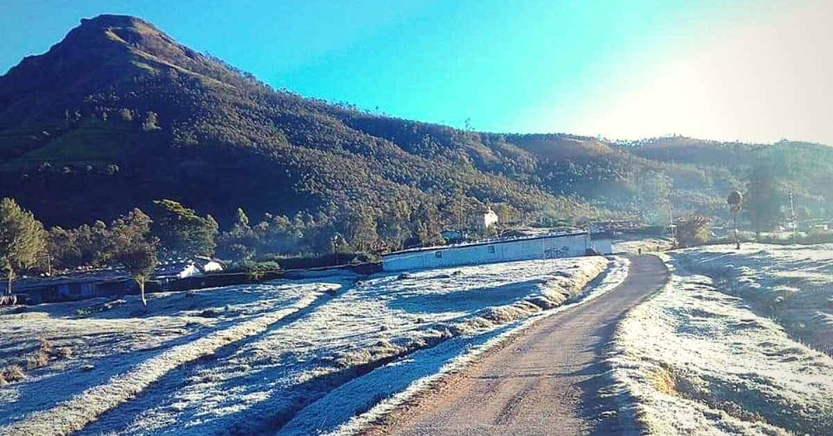 Kerala's Munnar Turns Into Winter Wonderland, Check Out 10 Photos