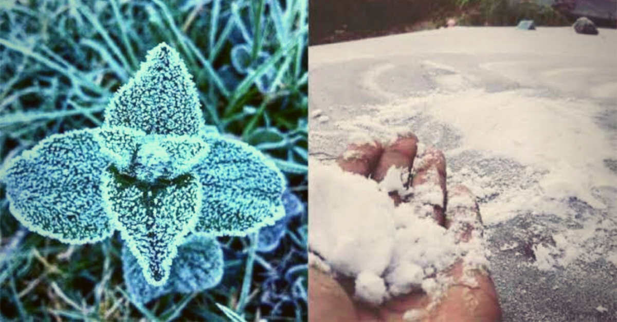 Kerala's Munnar Turns Into Winter Wonderland, Check Out 10 Photos