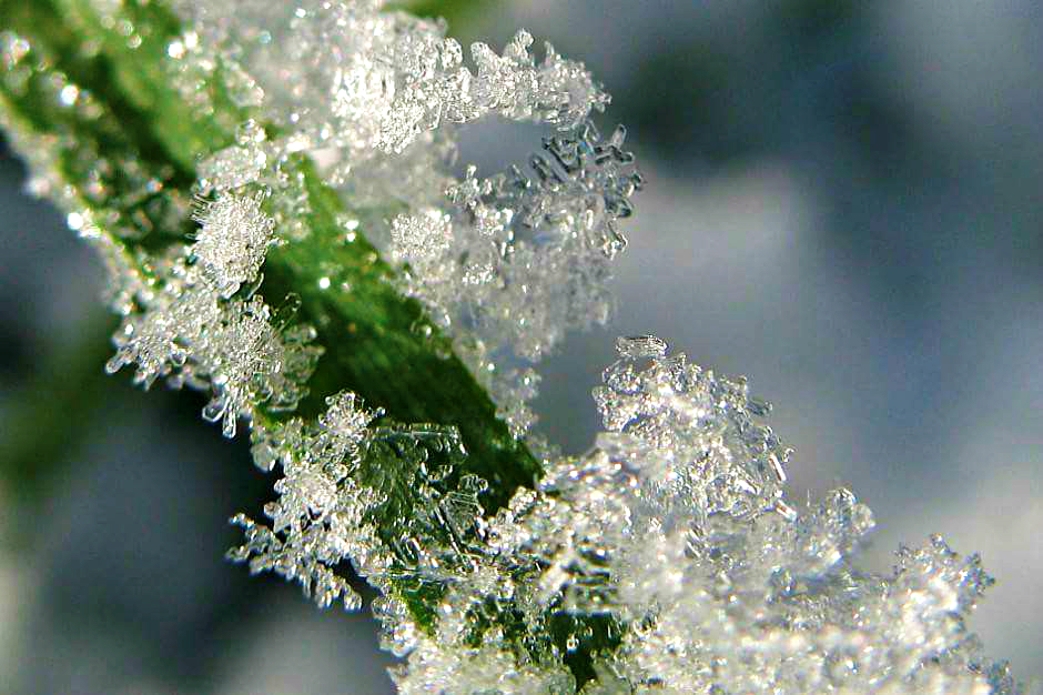 Kerala's Munnar Turns Into Winter Wonderland, Check Out 10 Photos