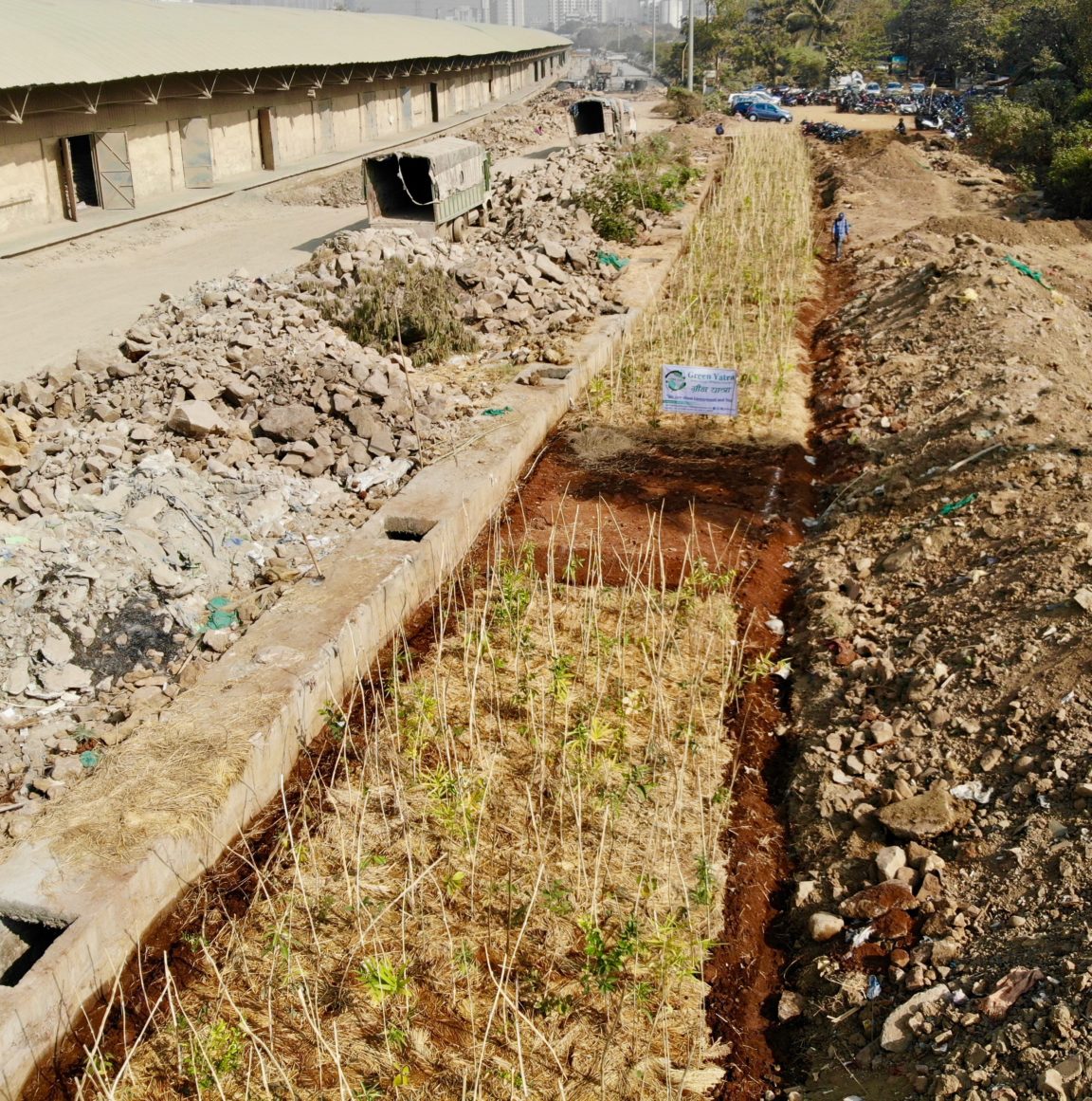 12K trees,1 acre: NGO is creating a dense forest in the middle of Mumbai