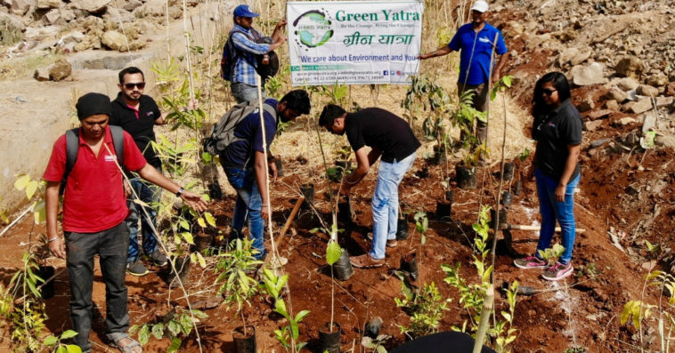 12K trees,1 acre: NGO is creating a dense forest in the middle of Mumbai