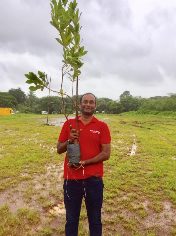 12K trees,1 acre: NGO is creating a dense forest in the middle of Mumbai