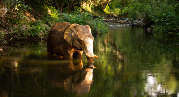 Fort Kochi To Have 100 'Lantana' Elephants. And Here's Why You Need To ...