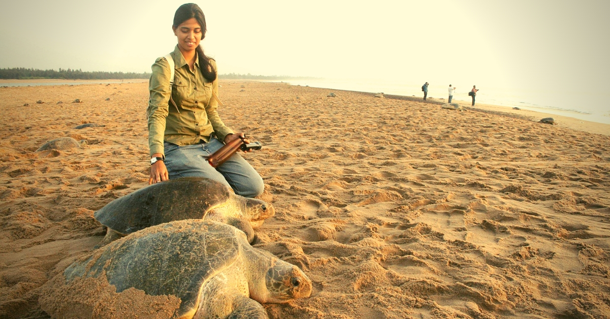 Indian Marine Biologist Works On Shark Conservation, Bags Rs 40L Award