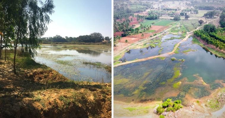 B'lore Techie Revives Lake in 45 Days, Plans to Save 45 More by 2025!