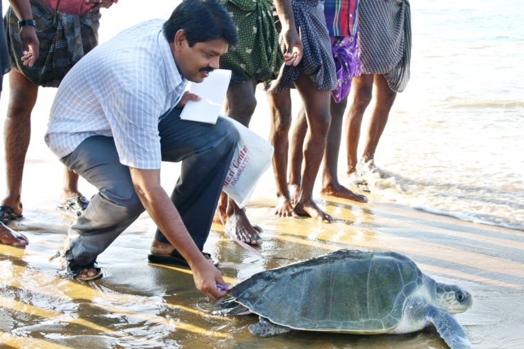 For 20 Years, These Kerala Teachers & Students Provided a Safe Home to ...