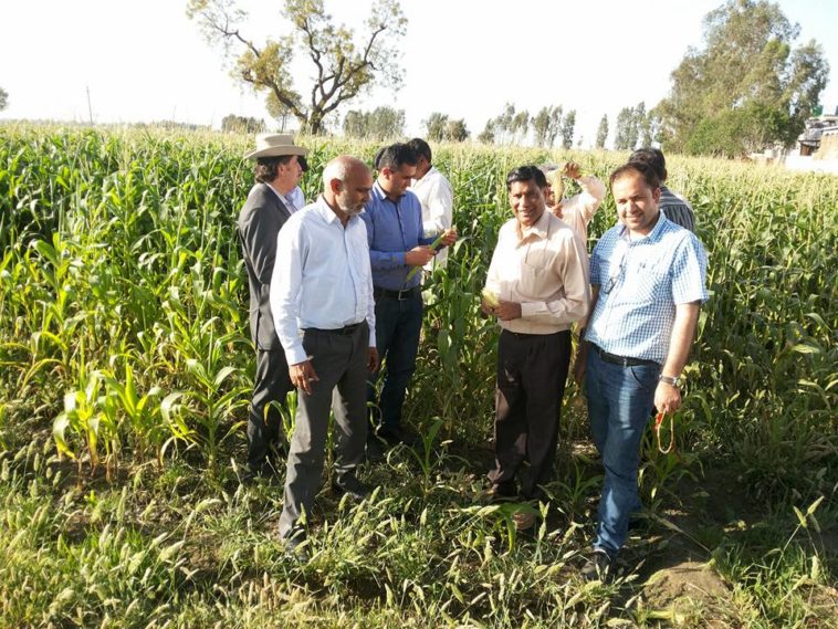 Meet the Farmer Behind India’s Largest Babycorn-Producing District Who ...