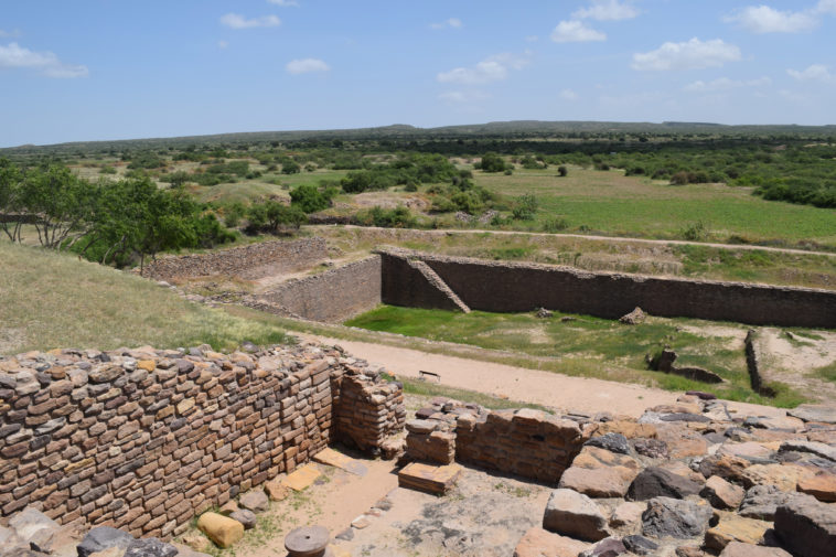 5,000-YO Skeleton Found in Kutch: What It Reveals about the Harappans