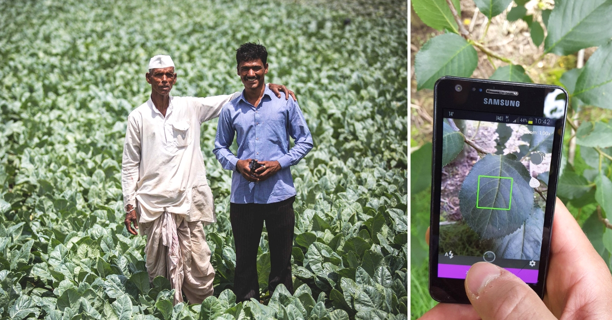 How Phones are Turning into Plant Doctors for Thousands of Farmers