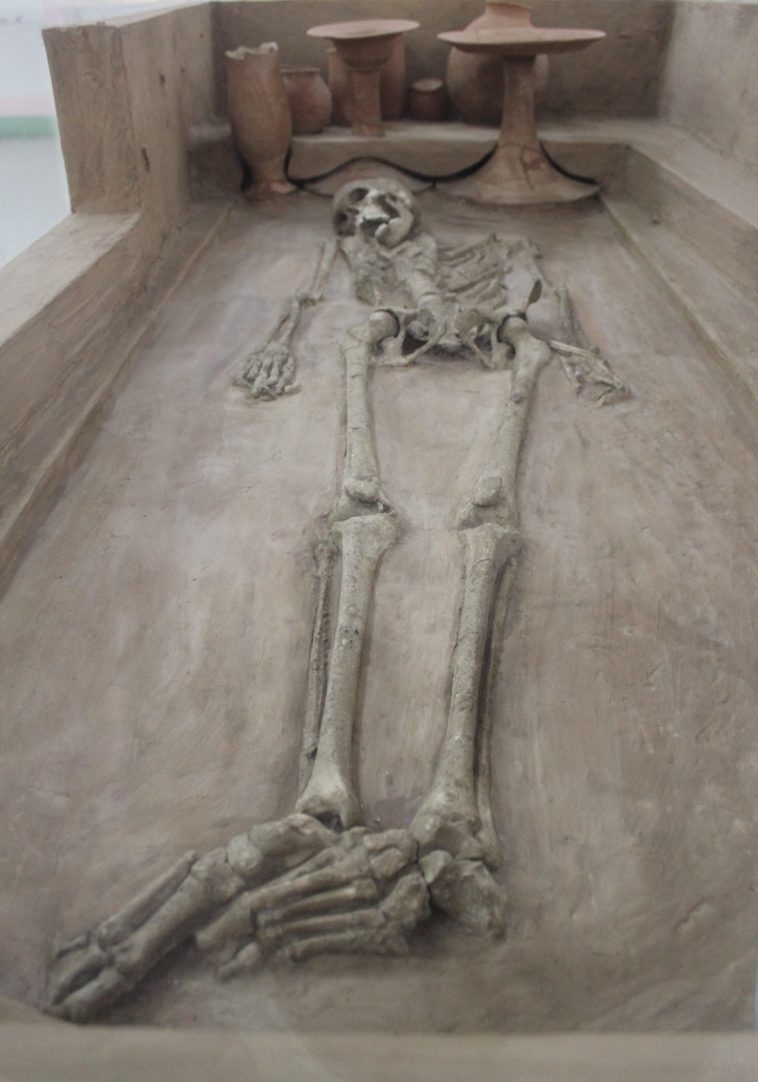 5,000-YO Skeleton Found in Kutch: What It Reveals about the Harappans