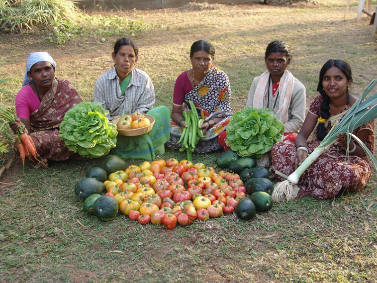 200 Native Veggies in 2 acres: Meet the Karnataka Seed Guardian