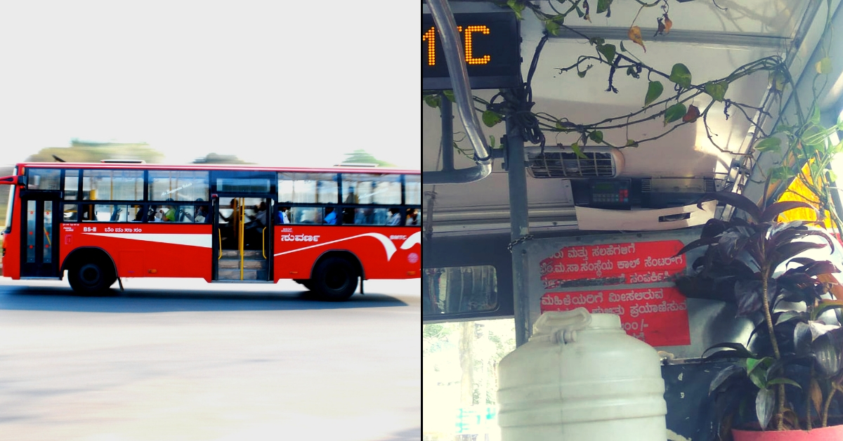 Green Ride: 59-YO BMTC Driver Grows Mini Garden Inside Bus