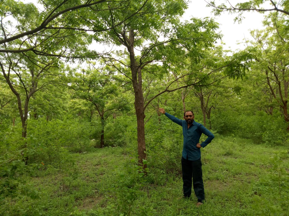 1 Cr trees, 2500 check dams: How a 86-YO transformed 3 Gujarat district