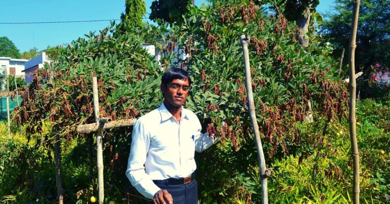 MP Farmer Grows Organic Food in 5 Layers, Earns Millions From 2.5 Acre