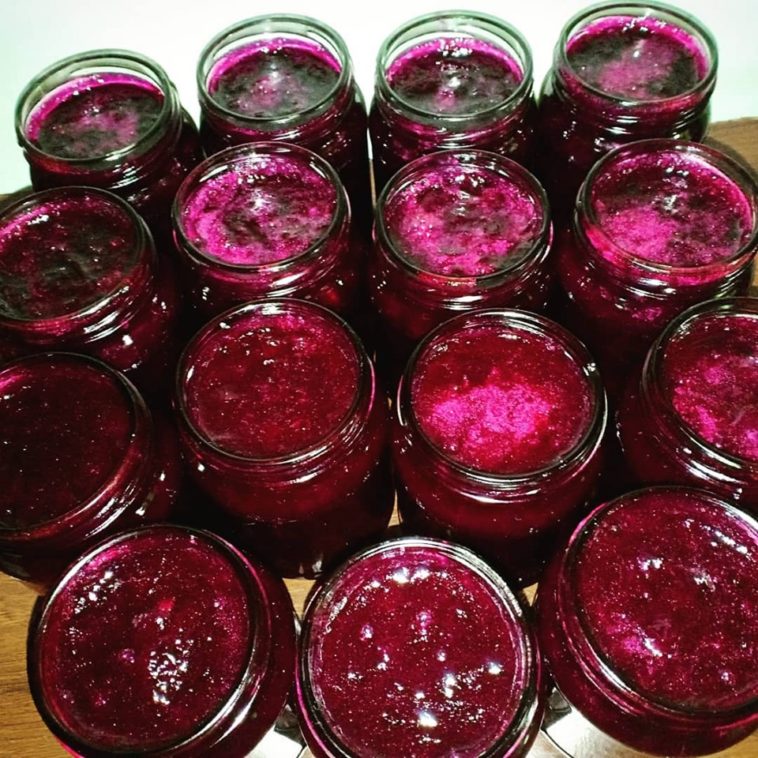 Purple Powerhouse: Why The Good Old Jamun Is the Uncrowned Star of Desi ...