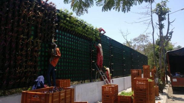 Mumbai Gets Bio-Fence to Protect Mangroves From Waste