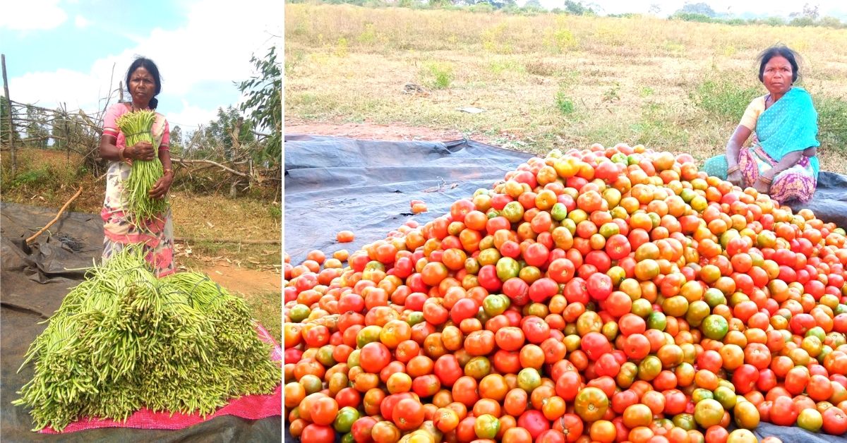 Karnataka Tribal Woman turns into Organic 'Super Farmer', earns in Lakhs!