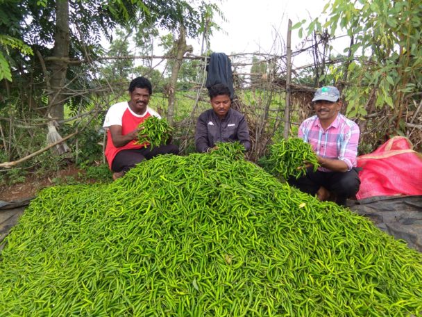 Karnataka Tribal Woman turns into Organic 'Super Farmer', earns in Lakhs!