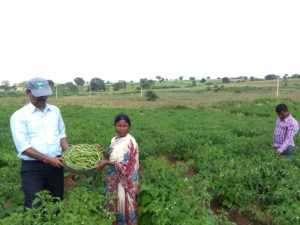 Karnataka Tribal Woman turns into Organic 'Super Farmer', earns in Lakhs!