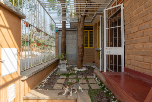 Low Bills, Low Water Use: 2 ISRO Scientists' Homes Are Green Wonders