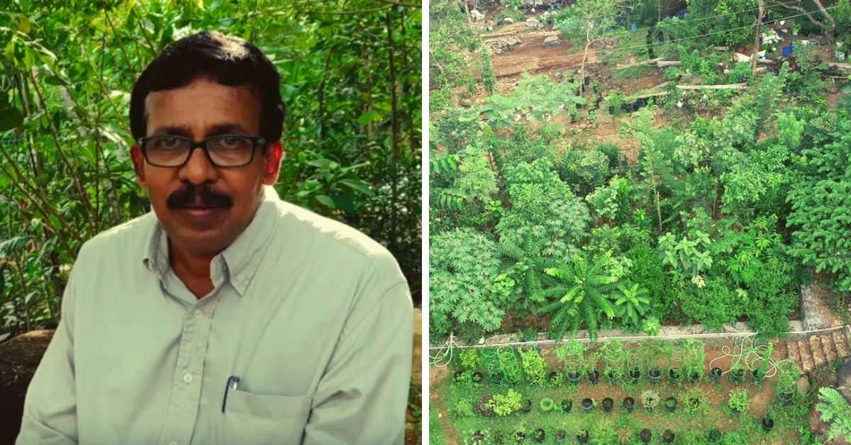 Kerala Man Grows 400-Tree Forest in 3 Cents of Land!