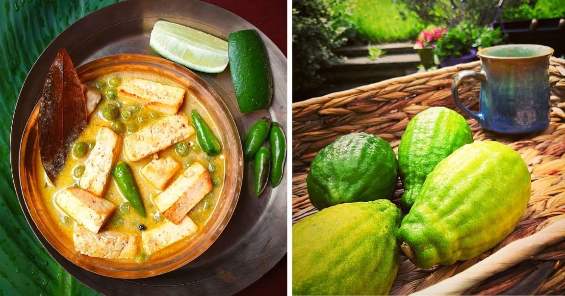 King of Lemons: How Gondhoraj Lebu Literally Remains True to Its Roots!