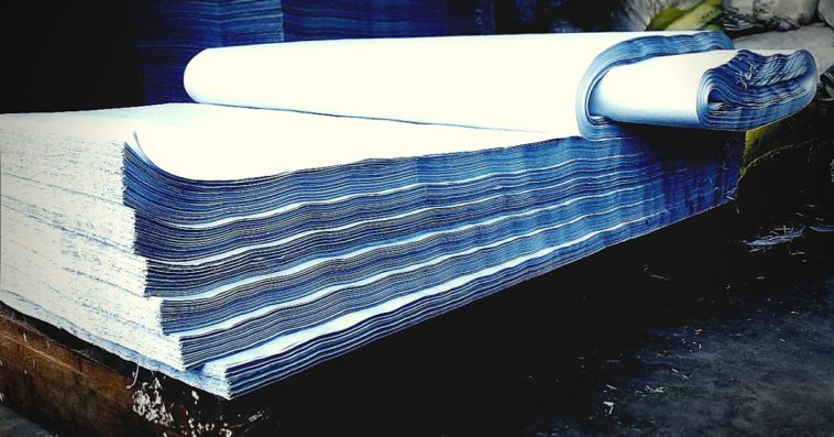 Live Green:10 Ways to Use Less Paper & Save the Planet's Forests