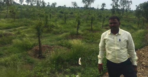 Forest Officer Defies Dry Spells, Grows 1.5 Lakh Trees In K'taka District!