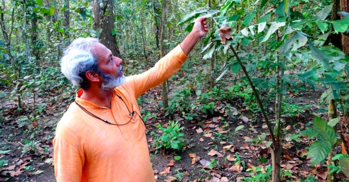 1420 Varieties, 25 Yrs: Meet The Man Rescuing India’s Rice Diversity!